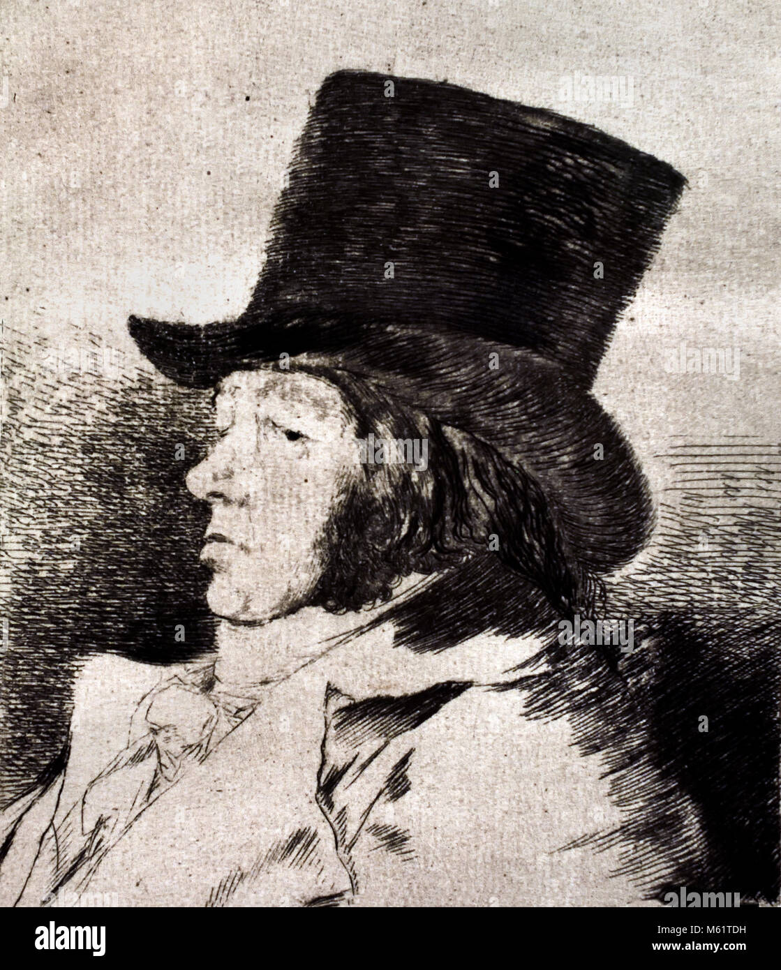 Francisco de goya portrait hi-res stock photography and images - Alamy