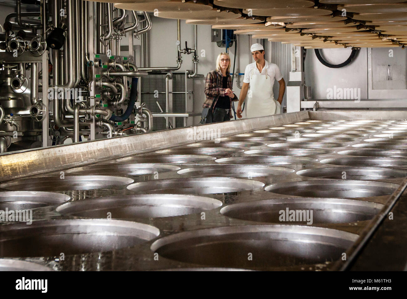 The cheeses are shaped in the press tub. Cheese-Factory in Hittisau ...
