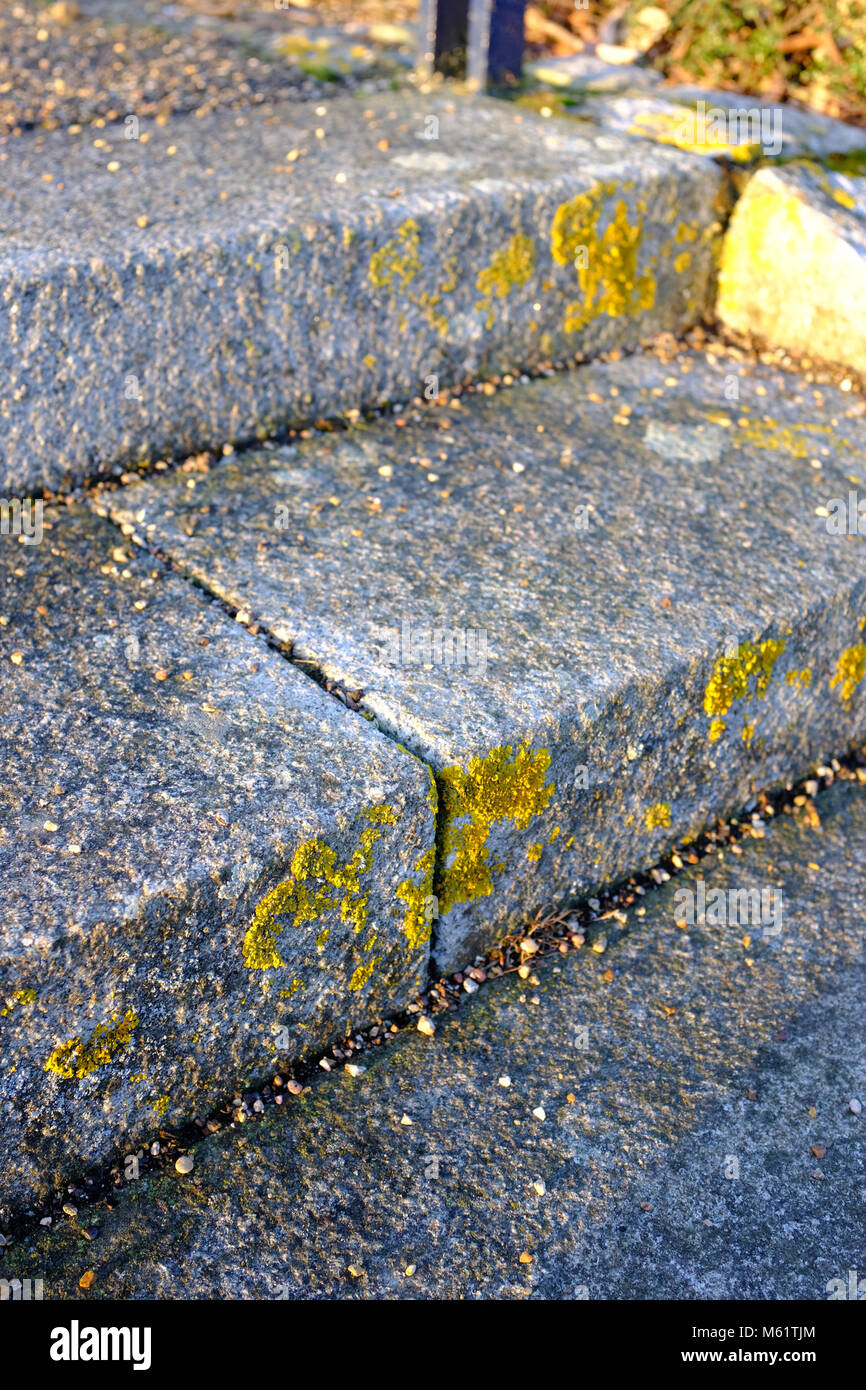 Lichen growing on stone hi-res stock photography and images - Alamy