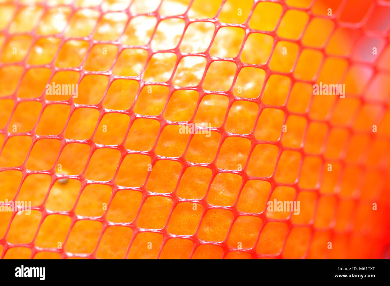 orange fruit in net bag Stock Photo - Alamy