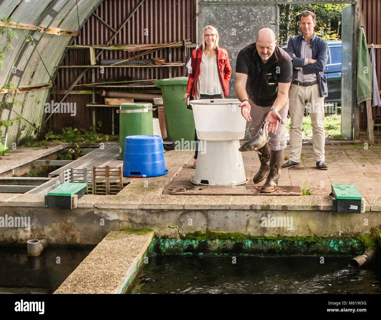 Back to freedom - for now. The Danube salmon or Huche is the largest ...