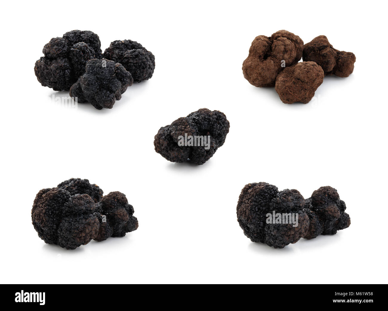 Closeup shot of black truffles and oak leaves isolated on white ...