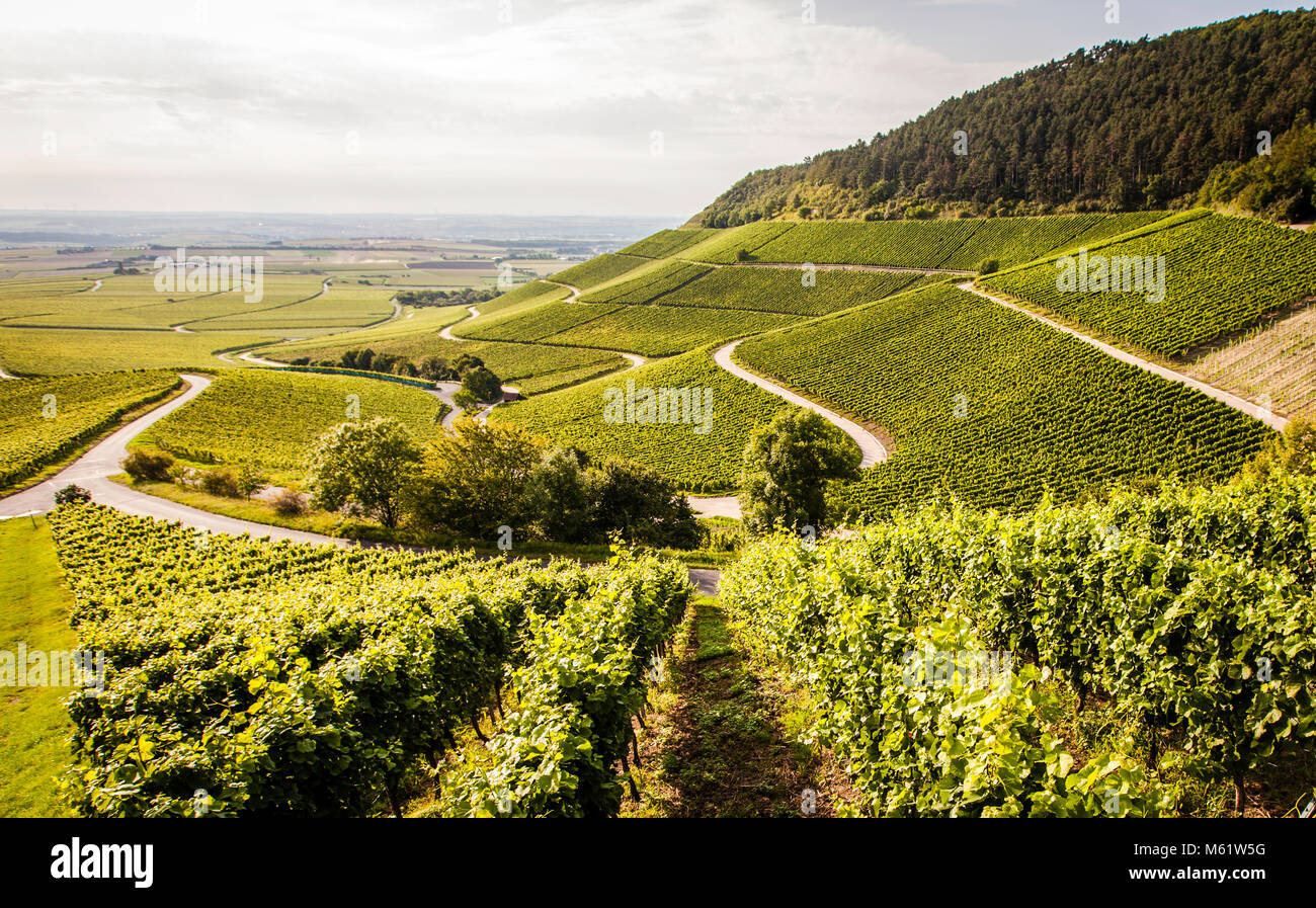 German vineyard hi-res stock photography and images - Alamy