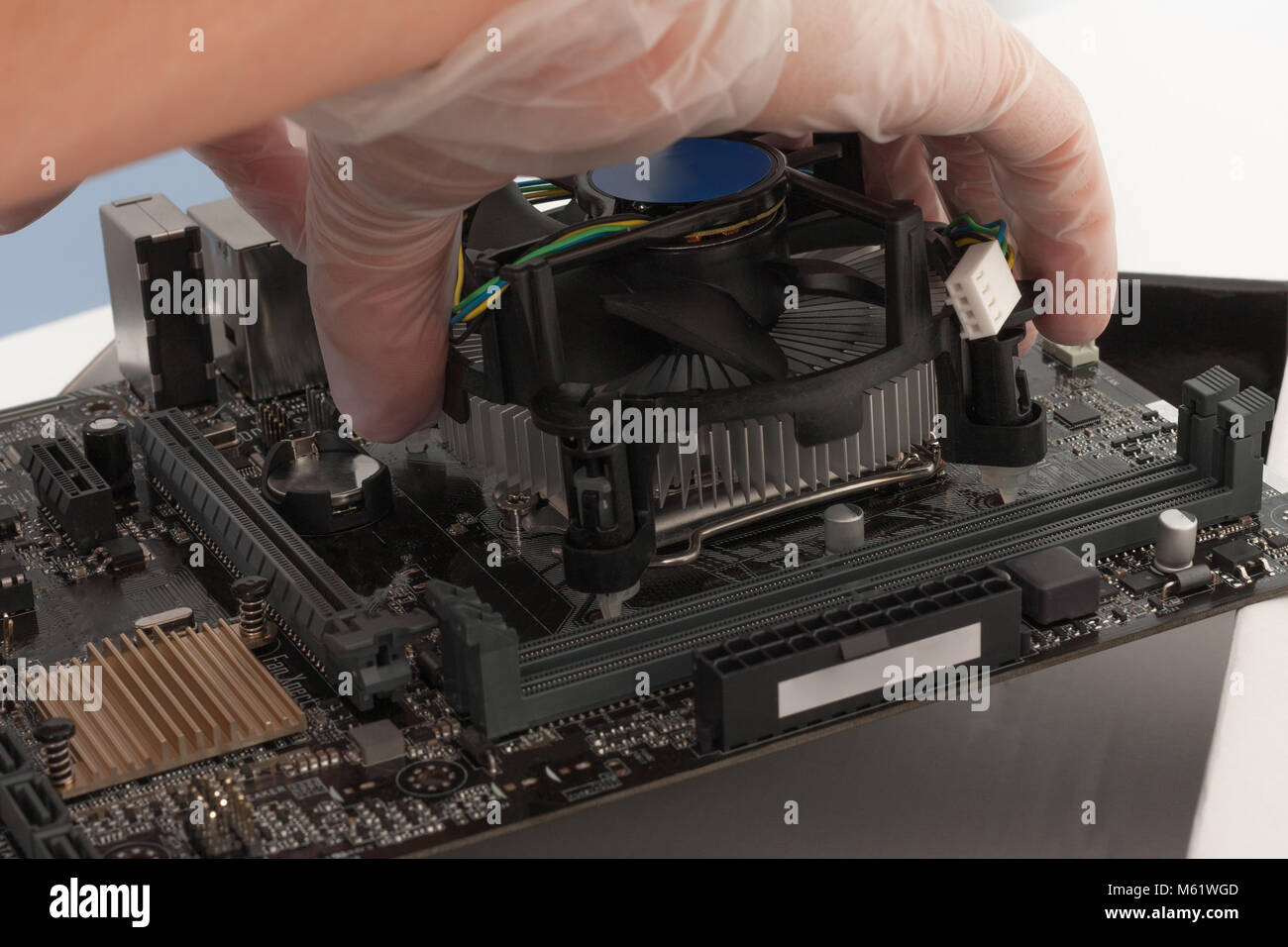 Close up of man hands installing CPU cooler fan on new, modern ...