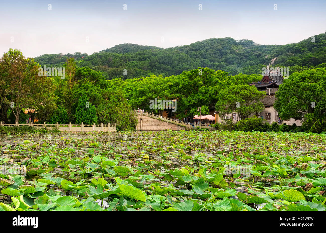 Putuo china puji hi-res stock photography and images - Alamy