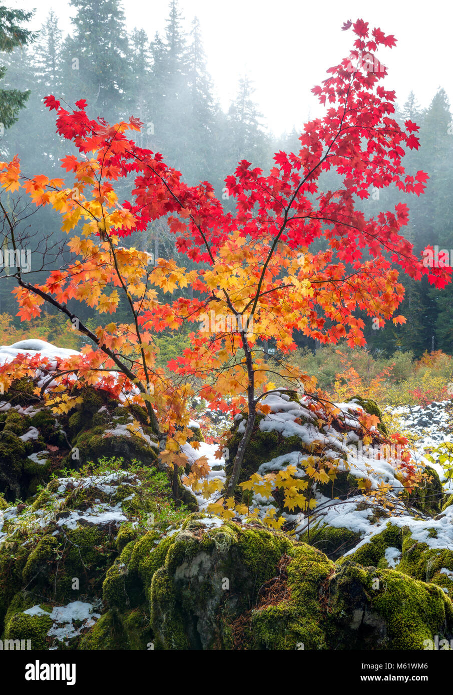 Fine trail hi-res stock photography and images - Alamy