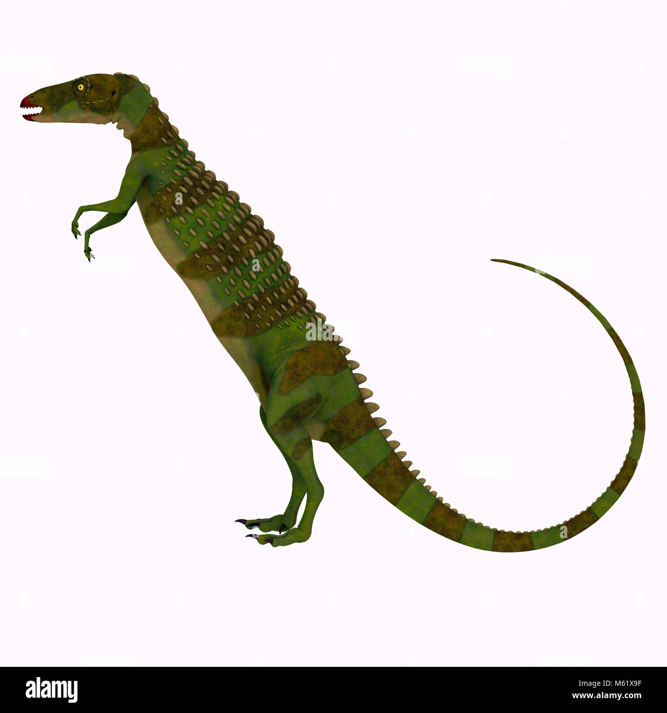 Scutellosaurus was an armored herbivore dinosaur that lived in Arizona ...