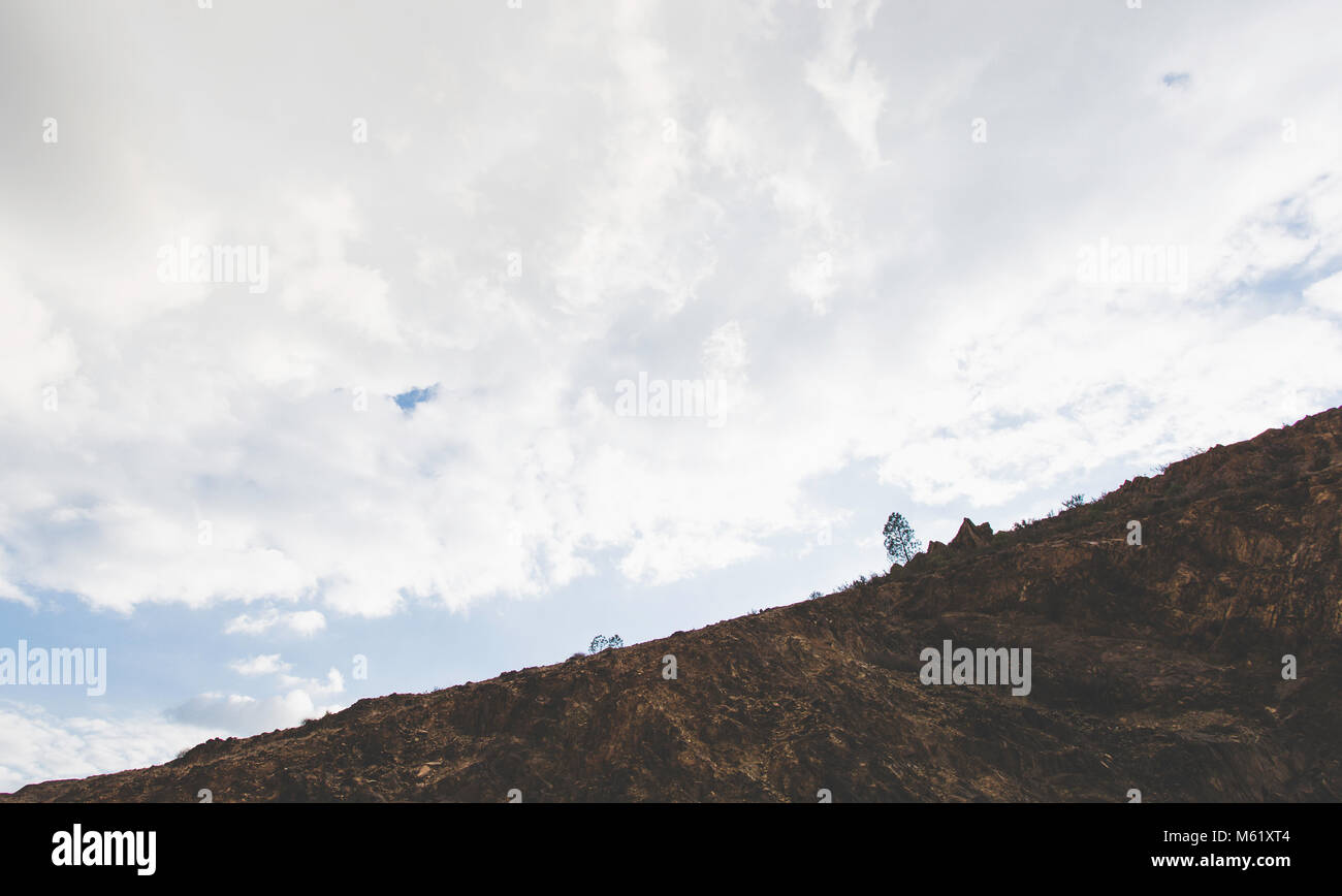 Small pine tree in mountains hi-res stock photography and images - Alamy