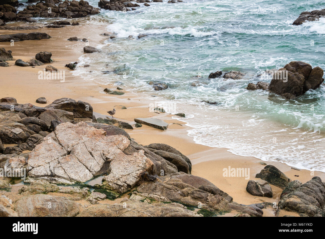 California winter monterey peninsula hi-res stock photography and ...