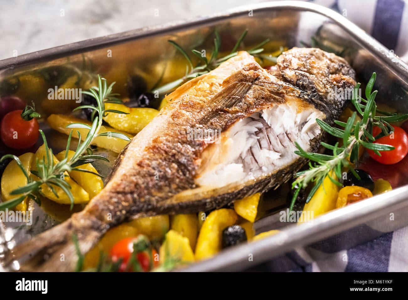 Grilled gilt-head bream Stock Photo - Alamy
