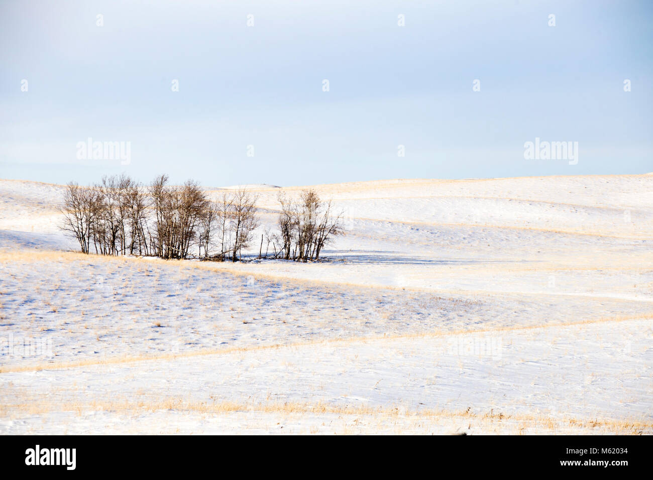 Prairie Landscape in Winter Saskatchewan Canada rural Stock Photo - Alamy