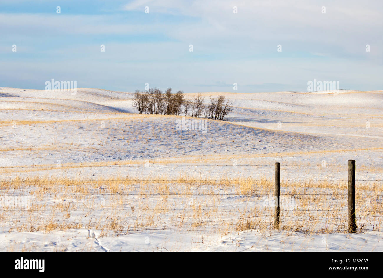 Prairie Landscape in Winter Saskatchewan Canada rural Stock Photo - Alamy