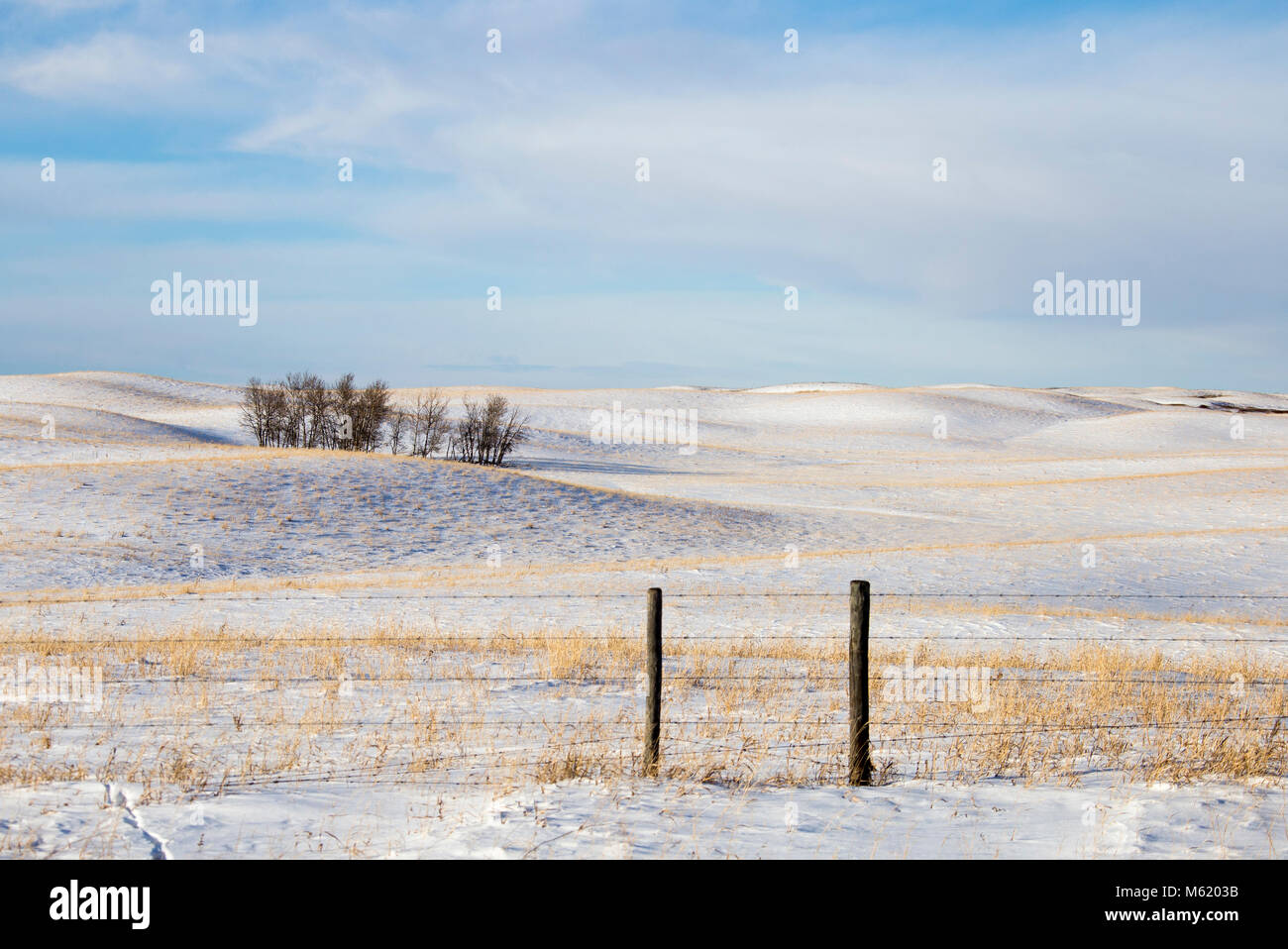 Prairie Landscape in Winter Saskatchewan Canada rural Stock Photo - Alamy