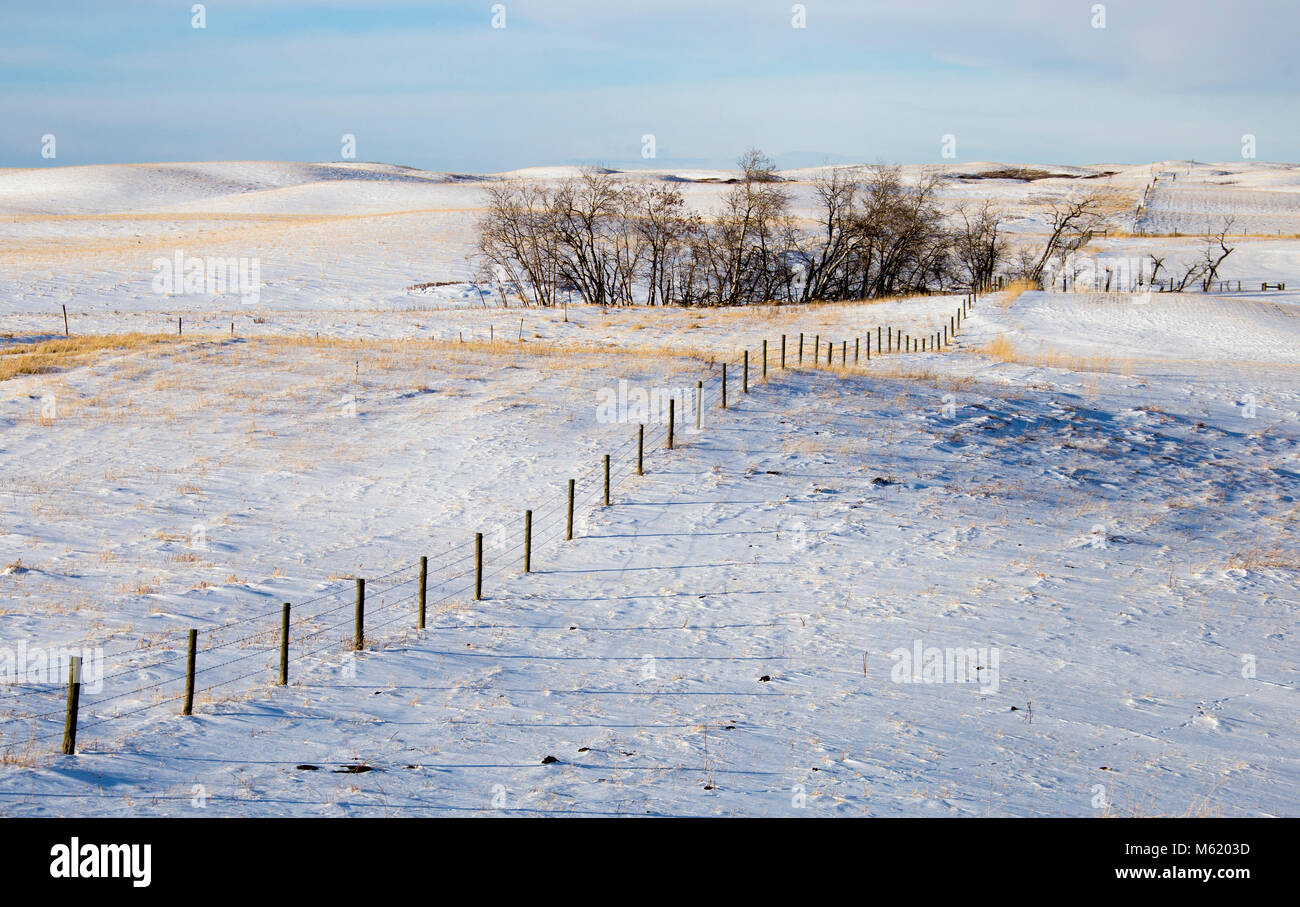 Prairie Landscape in Winter Saskatchewan Canada rural Stock Photo - Alamy