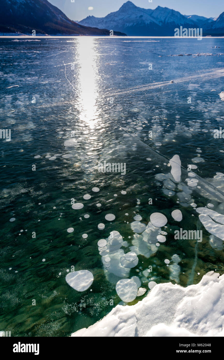 Abraham Lake Frozen Bubbles Stock Photo - Alamy