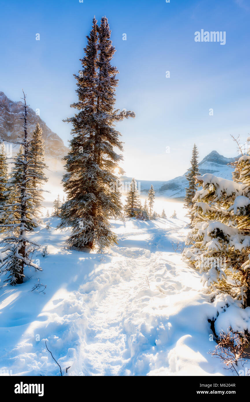 Bow Lake Area Stock Photo - Alamy