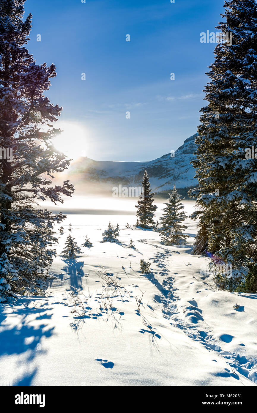 Bow Lake Area Stock Photo - Alamy