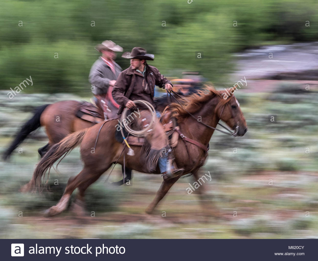 Two Cowboys Riding Horses Stock Photos & Two Cowboys Riding Horses ...