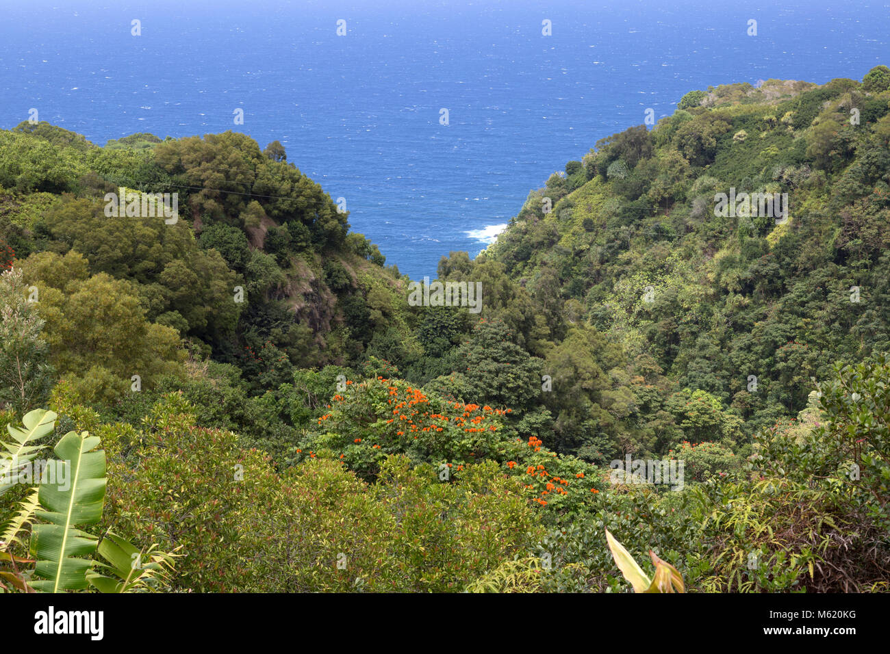 Maui scenery hi-res stock photography and images - Alamy