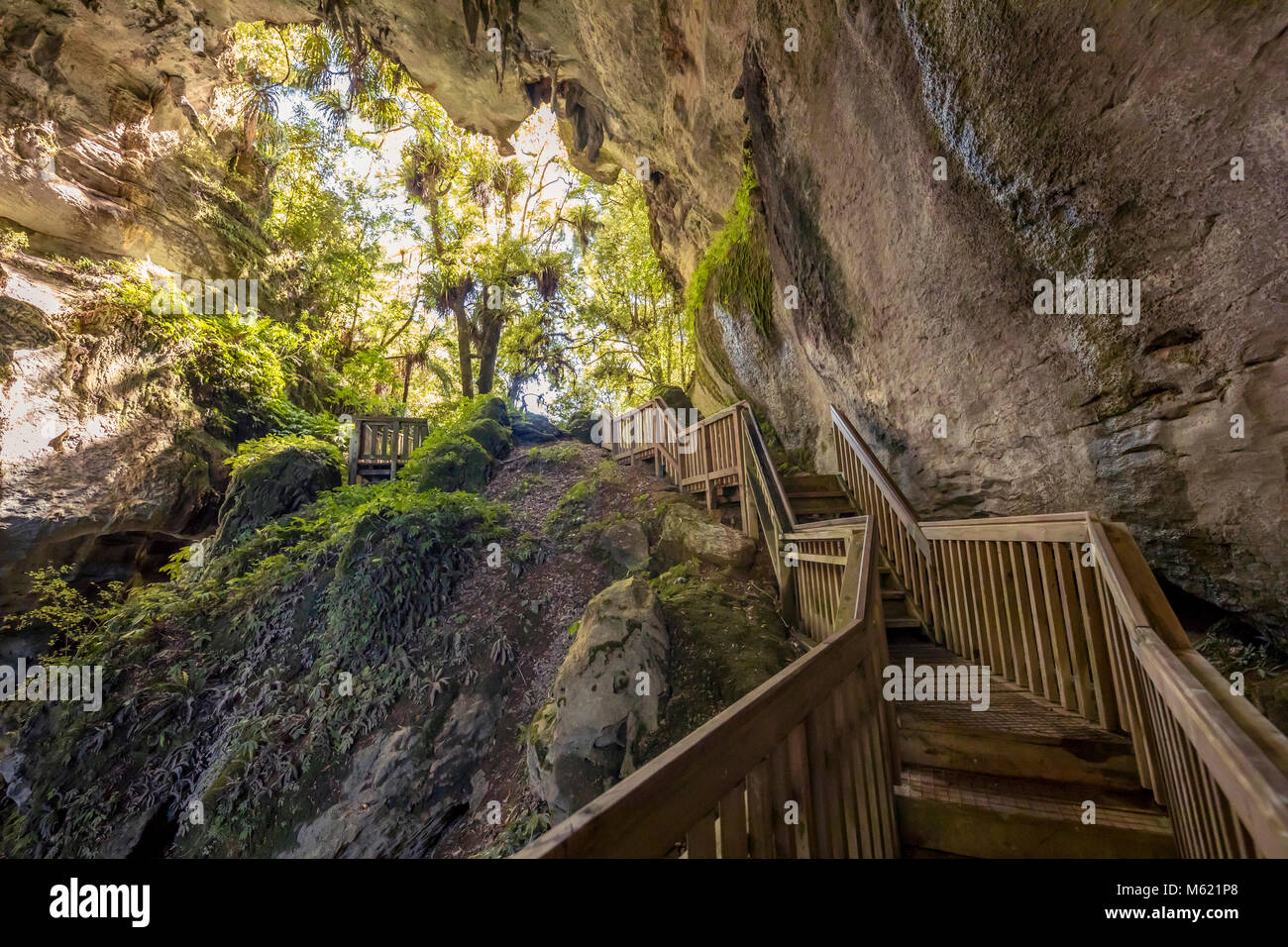 Mangapohue Natural Bridge, Waitomo, New Zealand Stock Photo - Alamy