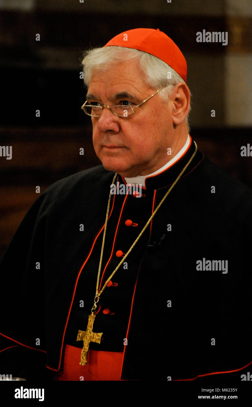 German Cardinal Gerhard Muller talks in Lyon, France Stock Photo - Alamy