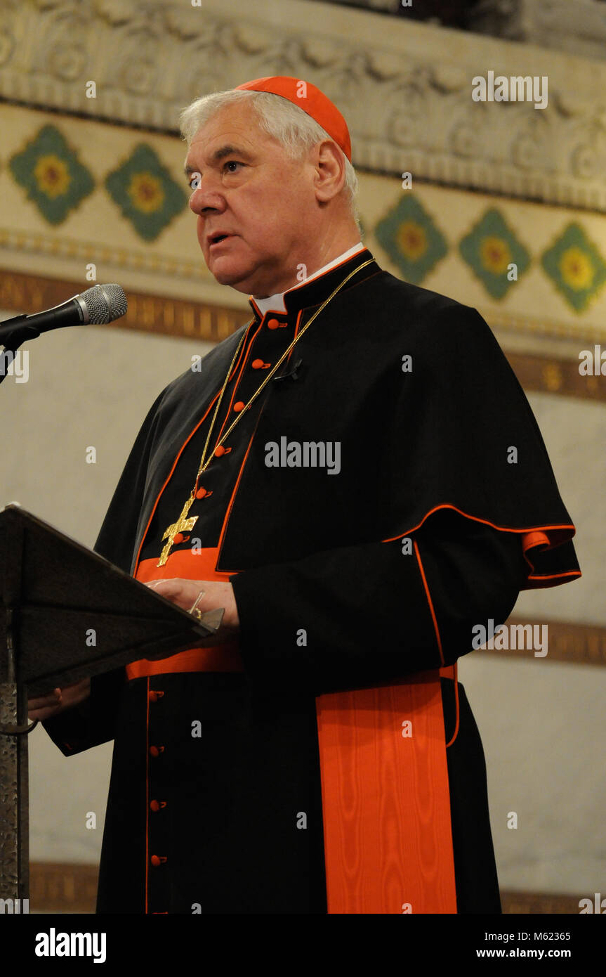 German Cardinal Gerhard Muller talks in Lyon, France Stock Photo - Alamy