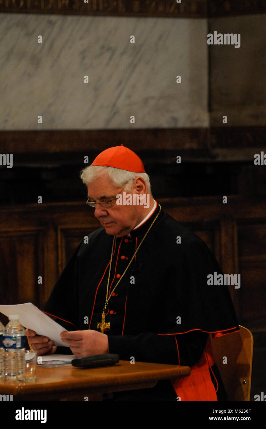 German Cardinal Gerhard Muller talks in Lyon, France Stock Photo - Alamy