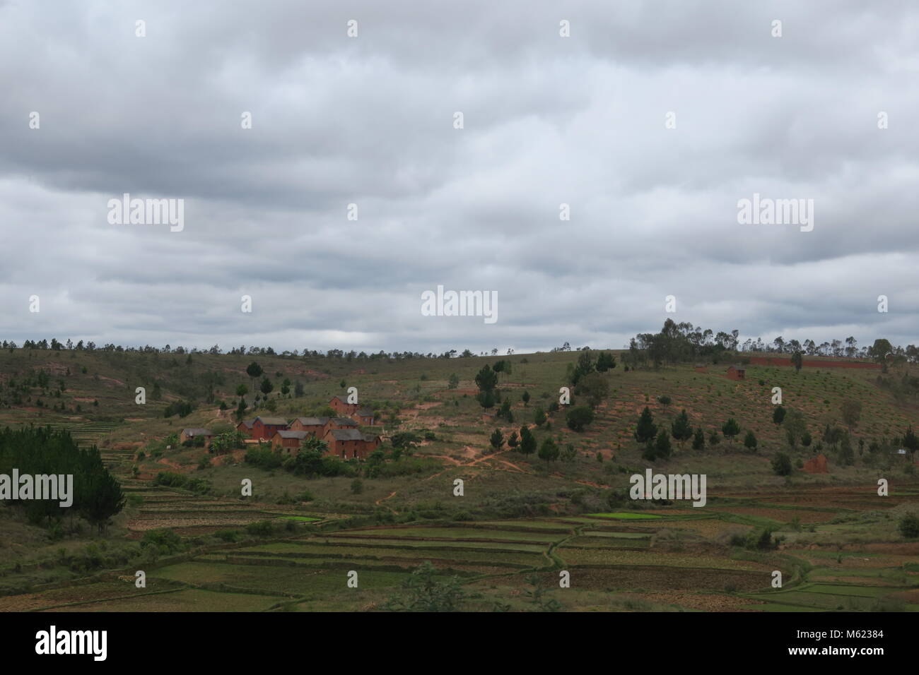 Colorful nature of Madagascar island Stock Photo - Alamy