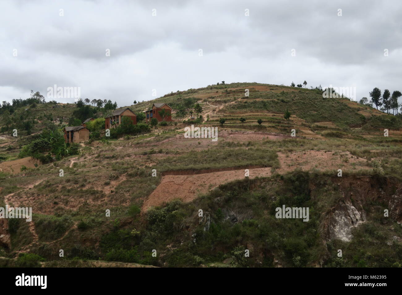 Colorful nature of Madagascar island Stock Photo - Alamy