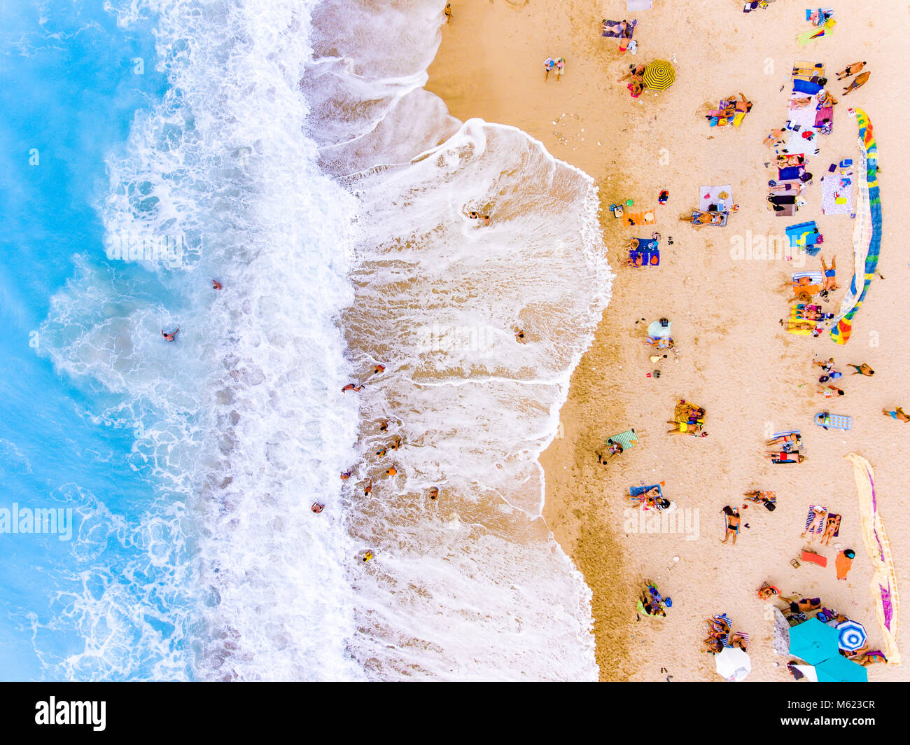 Beach Birds Eye View