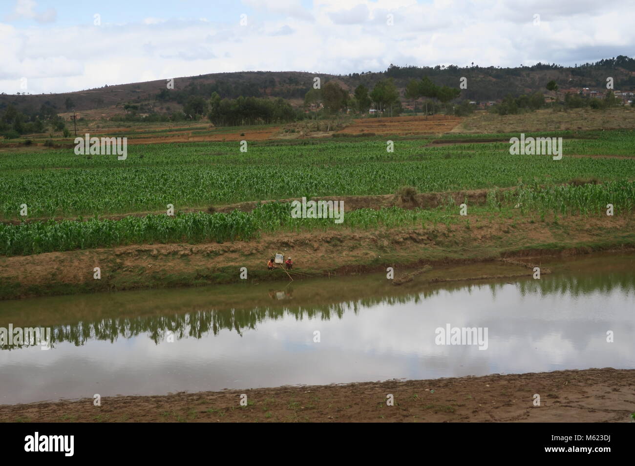 Colorful nature of Madagascar island Stock Photo - Alamy