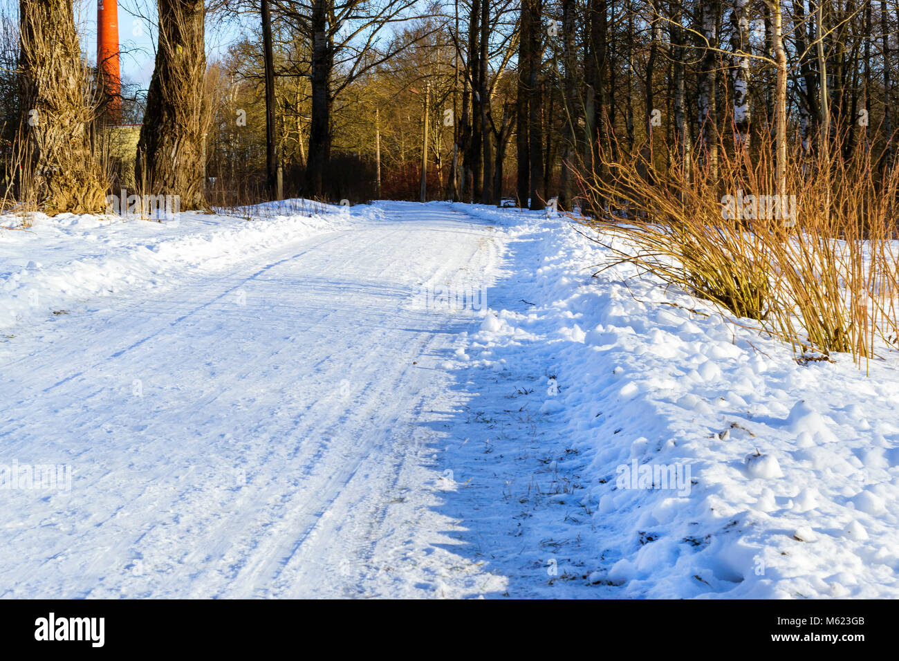 Winter rolled snowy road through the forest. Mechanical cleaning of ...