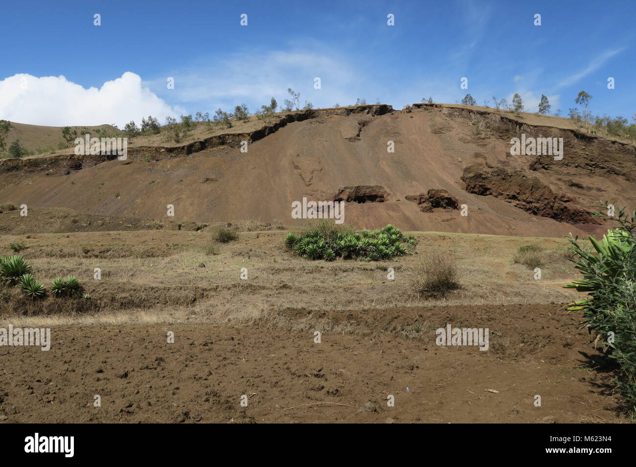 Colorful nature of Madagascar island Stock Photo - Alamy