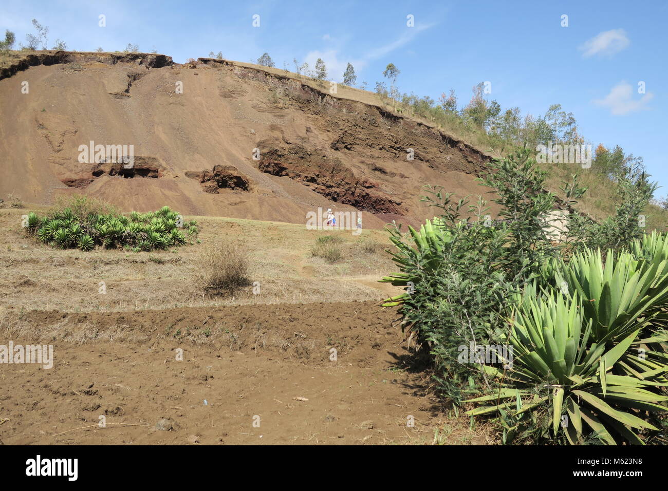 Colorful nature of Madagascar island Stock Photo - Alamy