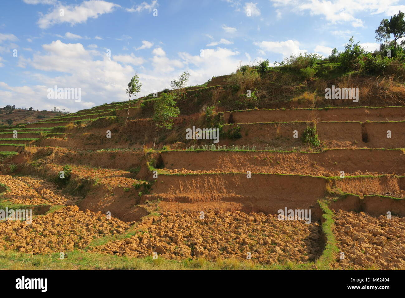 Colorful nature of Madagascar island Stock Photo - Alamy