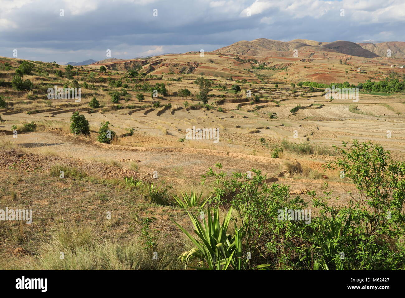 Colorful nature of Madagascar island Stock Photo - Alamy