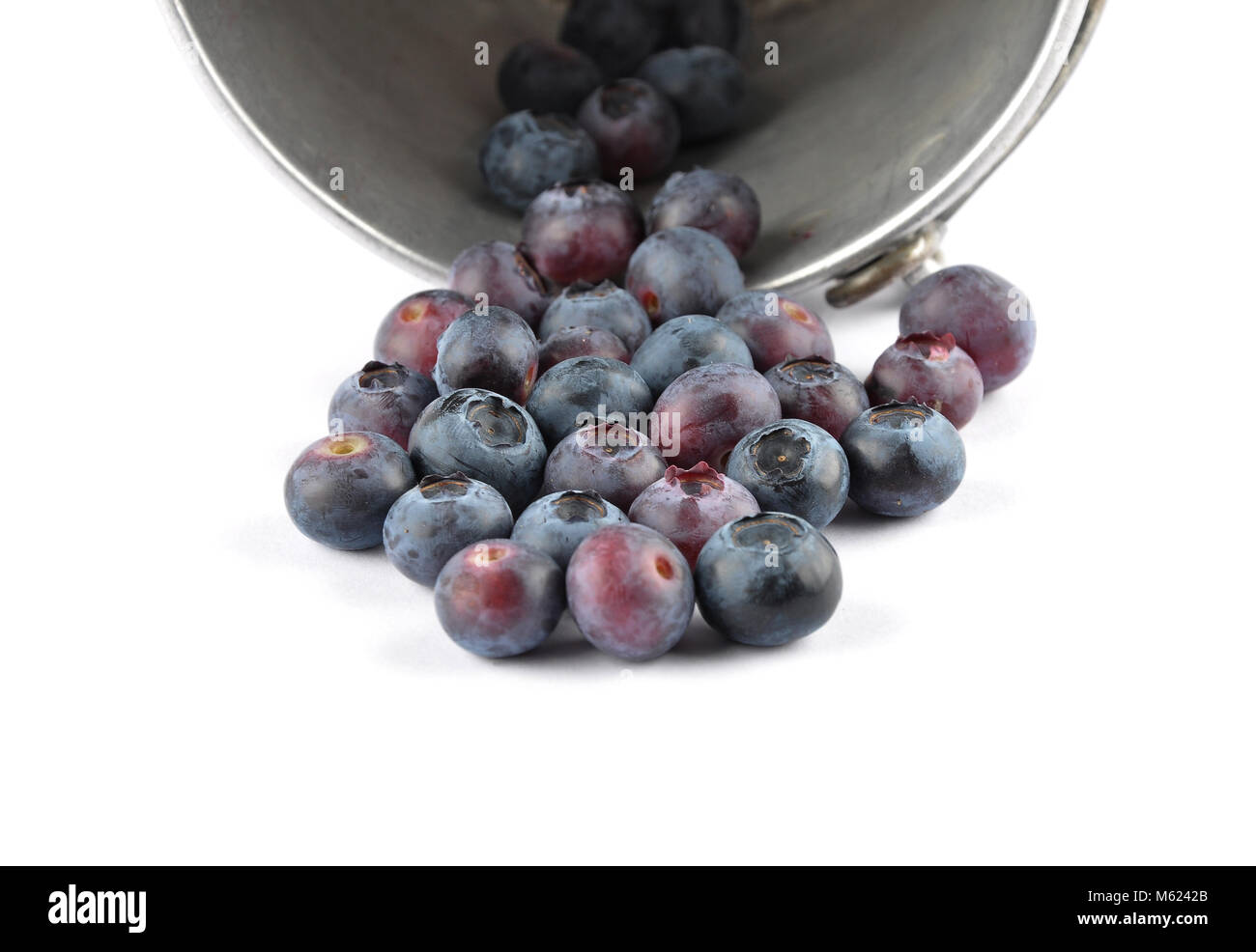 Highbush blueberry with tin bucket on white Stock Photo - Alamy