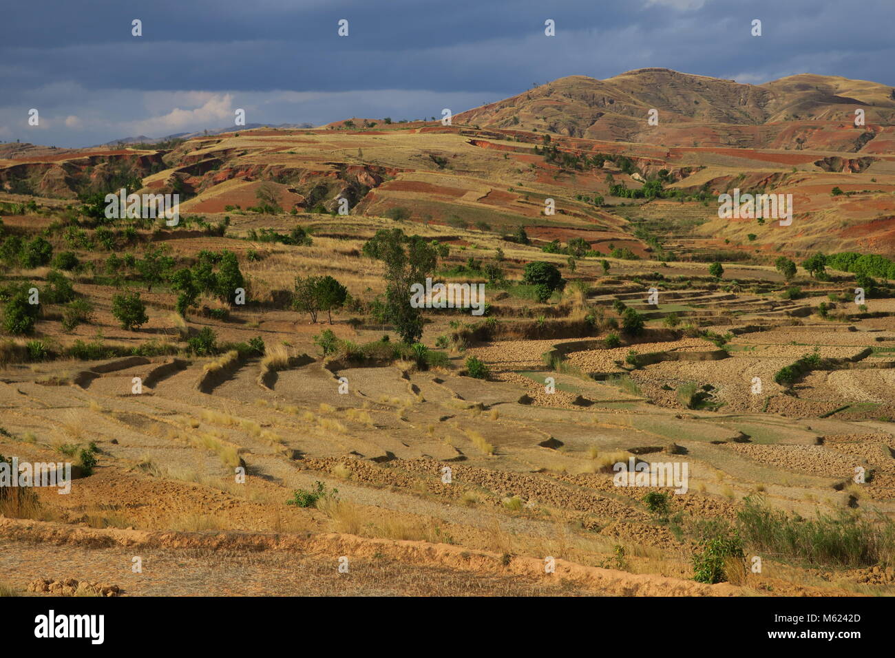 Colorful nature of Madagascar island Stock Photo - Alamy