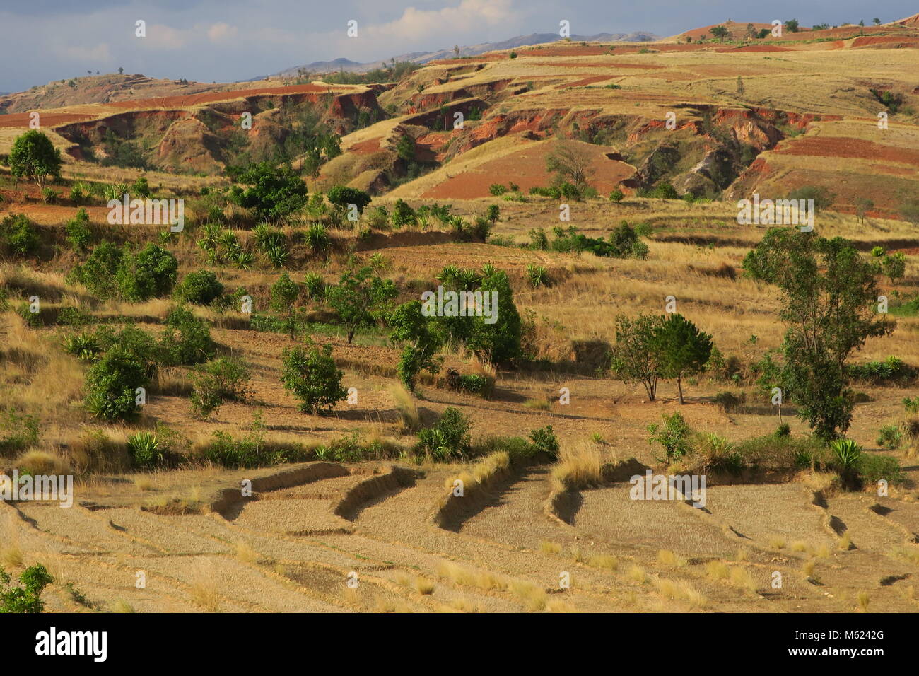Colorful nature of Madagascar island Stock Photo - Alamy