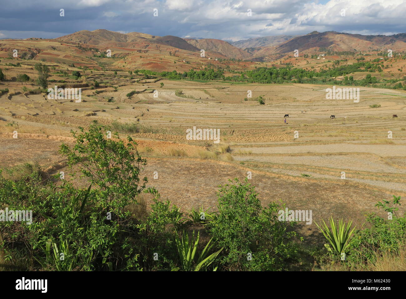 Colorful nature of Madagascar island Stock Photo - Alamy