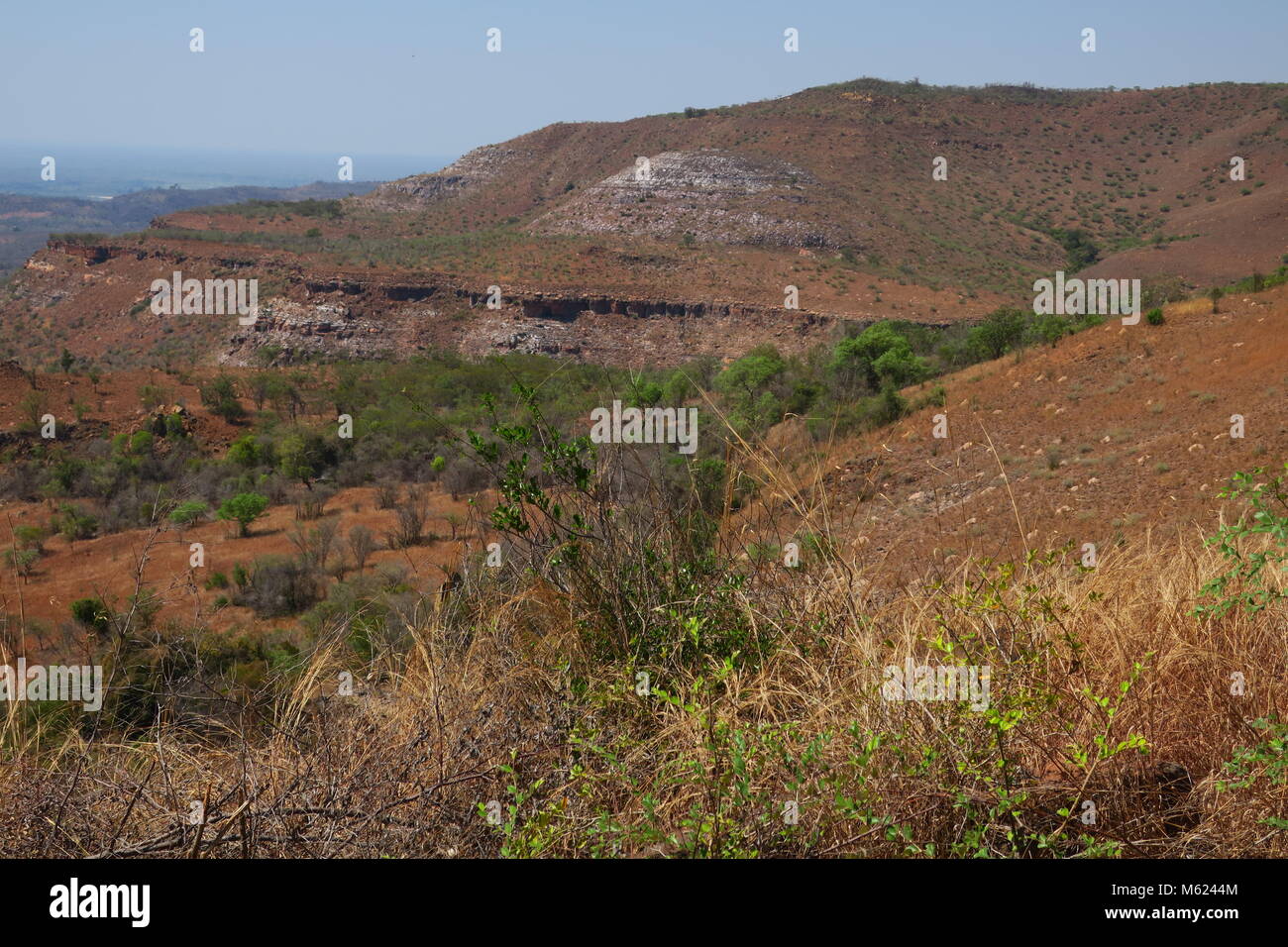 Colorful nature of Madagascar island, fresh countryside of the island ...