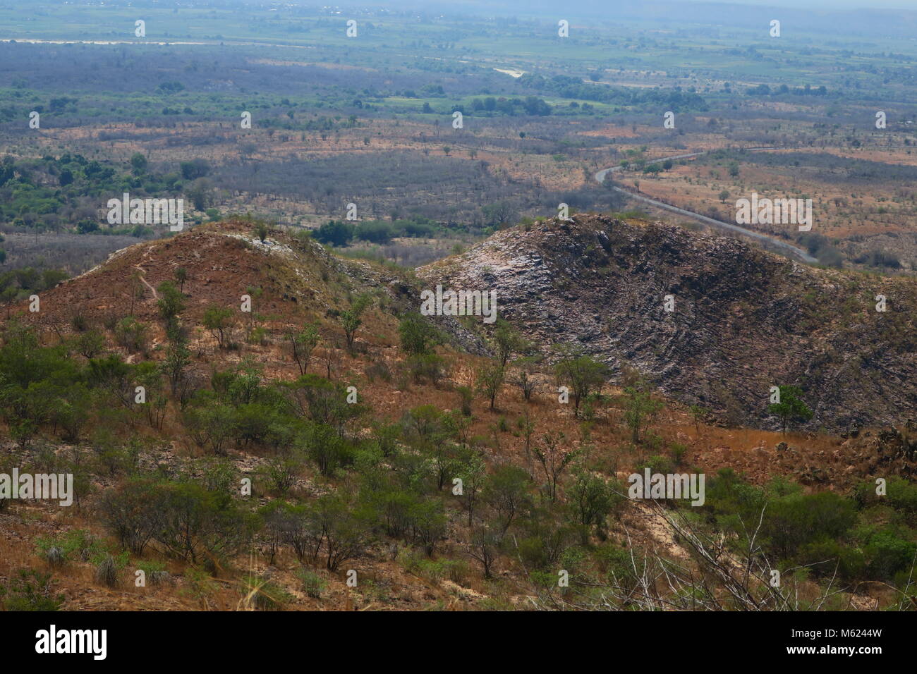 Colorful nature of Madagascar island, fresh countryside of the island ...