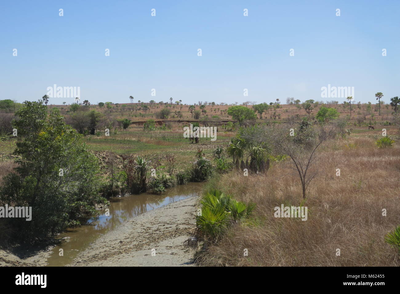 Colorful nature of Madagascar island, fresh countryside of the island ...