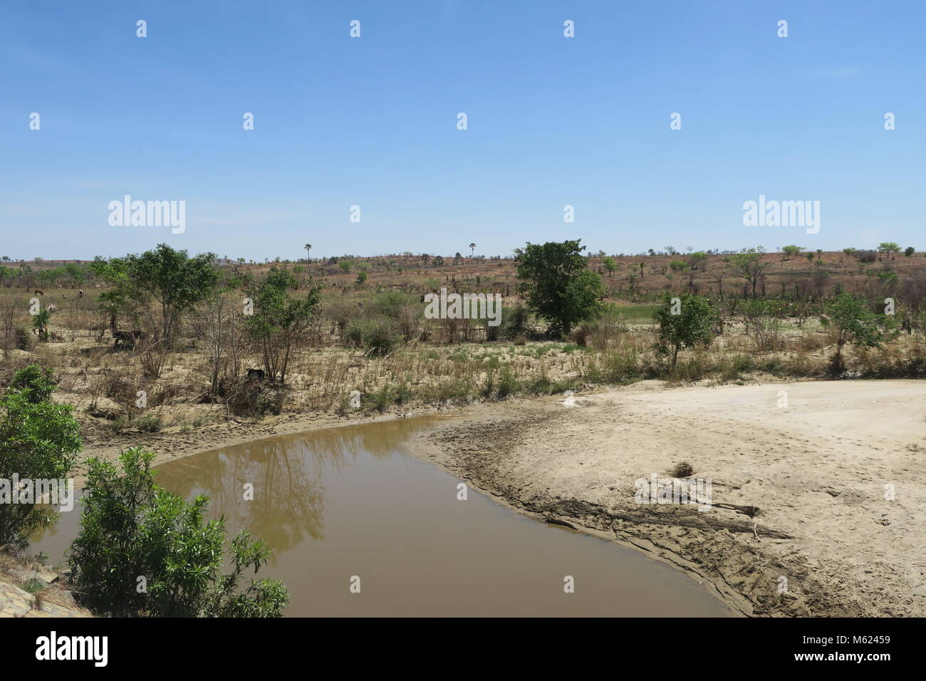Colorful nature of Madagascar island, fresh countryside of the island ...