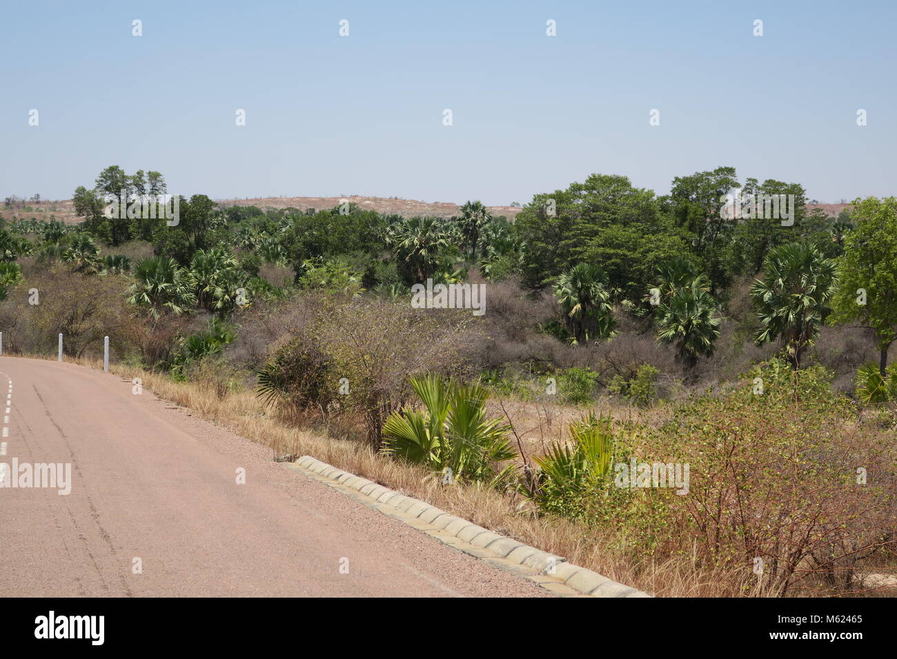 Colorful nature of Madagascar island, fresh countryside of the island ...