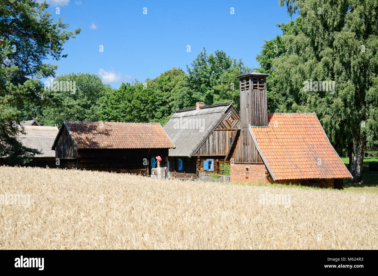 Museum of folk architecture, ethnographic park, vintage farm buildings ...
