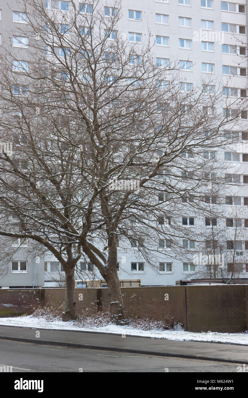 Hull in the snow - Anlaby Road flats Hull 1960s concrete tower blocks ...