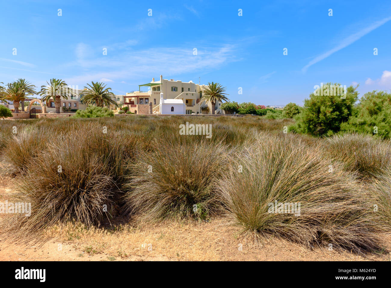 Grass on western coast of Naxos with typical Greek seaside building in ...