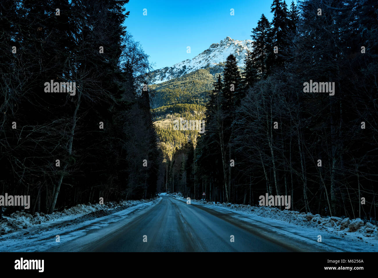 Road through winter mountain forest Stock Photo - Alamy