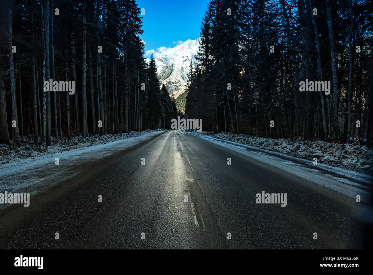 Road through winter mountain forest Stock Photo - Alamy
